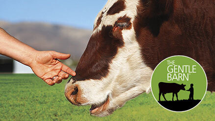 The Gentle Barn
