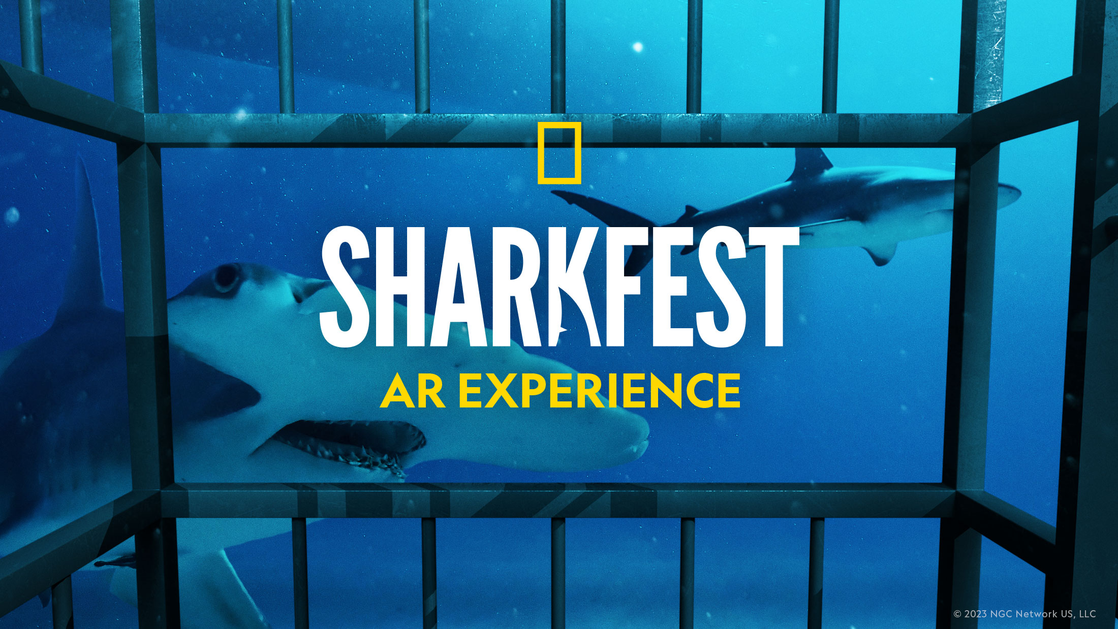 SharkFest WebAR