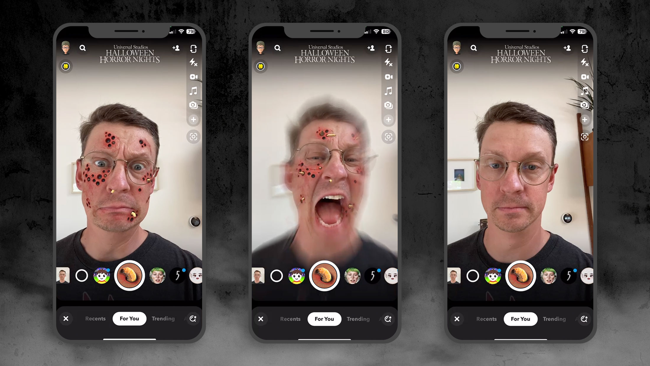 HHN Pest Problem Social Lens